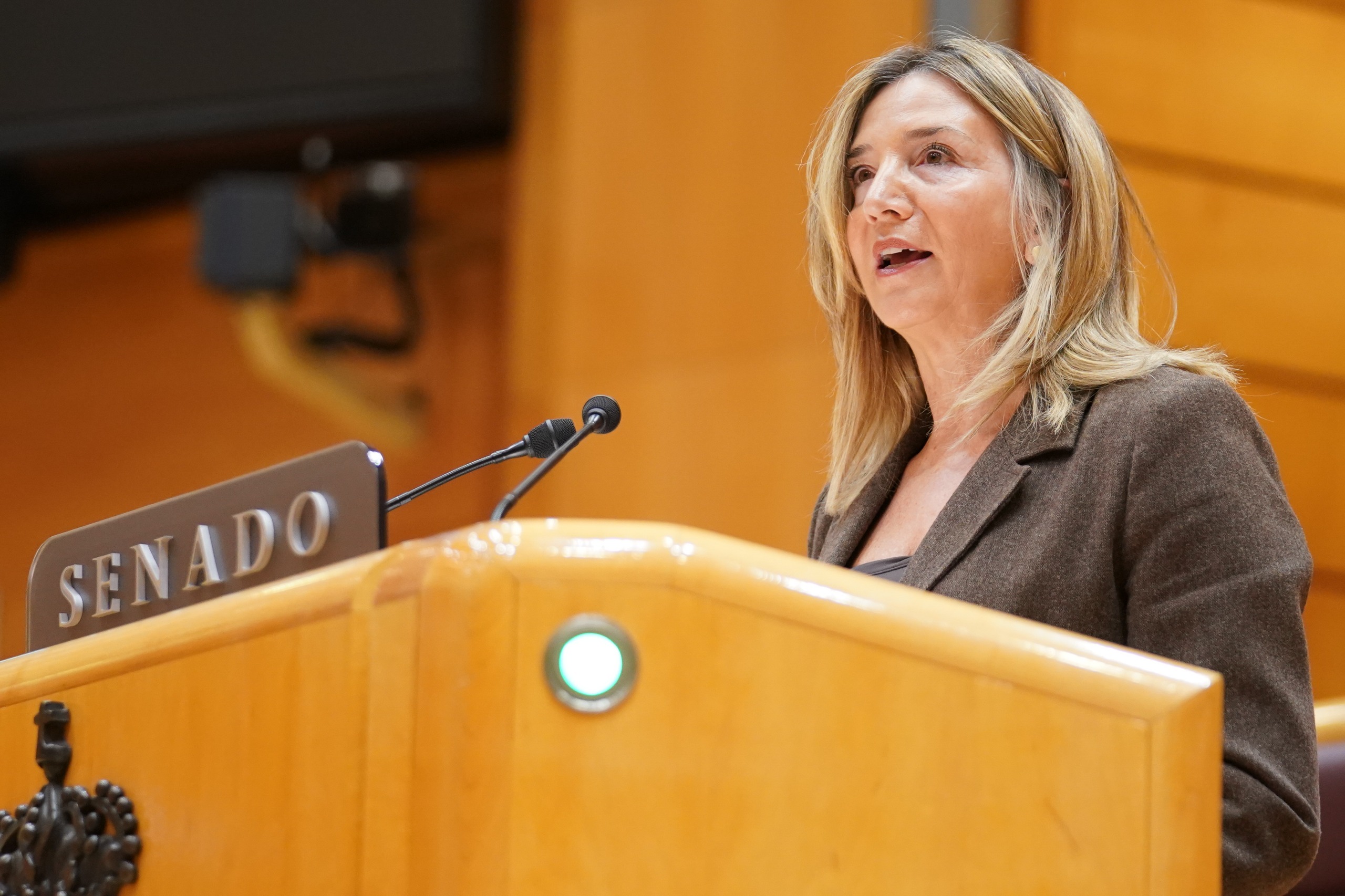 El PP pide la comparecencia de Carlos Cuerpo en el Senado ante la ...